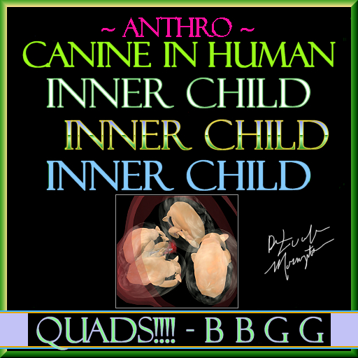 Second Life Marketplace - INNER CHILD - ANTHRO QUAD CANINE in HUMAN ...