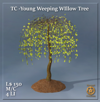 Second Life Marketplace - TC - Young Weeping WIllow Tree