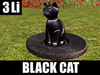 Second Life Marketplace - Cat