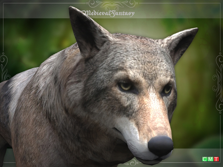 Second Life Marketplace - [MF] Majestic Wolf Trophy (boxed)