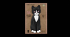 Second Life Marketplace - KittyCatS Box - New Born Kitten 7~Chateau Cat ...