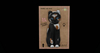 Second Life Marketplace - KittyCatS Box - New Born Kitten 5 3~Chateau ...