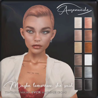Second Life Marketplace - DEMO. AW . Maybe tomorrow, she said ...