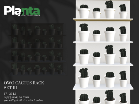 Second Life Marketplace - Planta - Owo Cactus Rack Set III