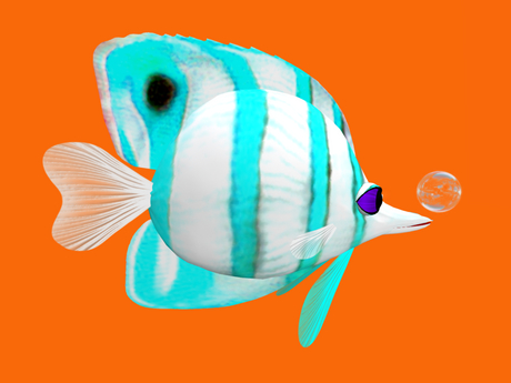 Second Life Marketplace - (7S) Common Fish: Blue Banded Fish
