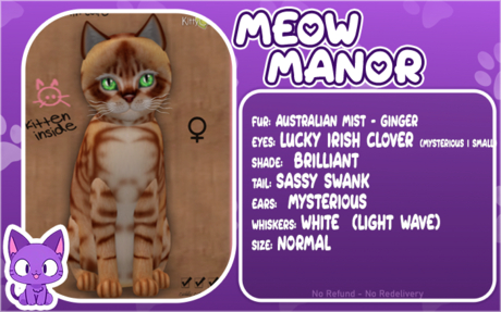 Second Life Marketplace - Meow Manor-Australian Mist - Ginger