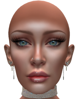 Second Life Marketplace - Face Contour - copy only