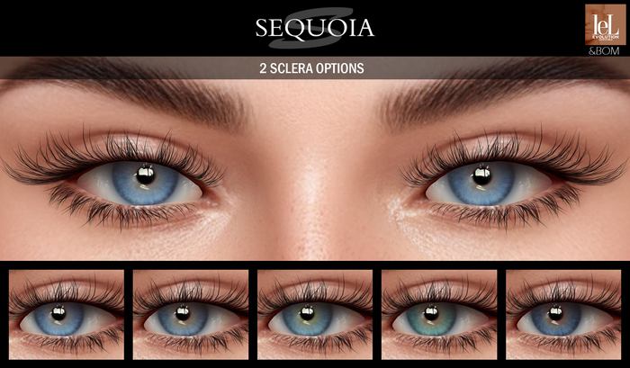 Second Life Marketplace - ::Sequoia::Lightning blue eyes Lelutka Evo/X ...