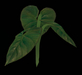 Second Life Marketplace - Papillon Frond Tier 2, Dwarf/Normal, Devious EID