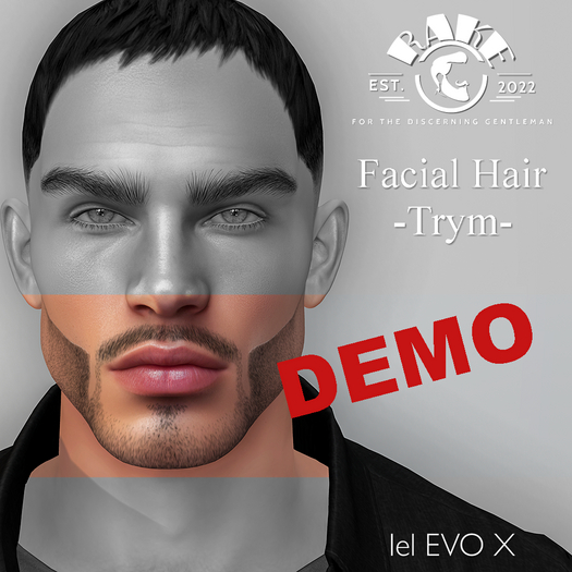 Second Life Marketplace - RAKE Facial Hair -Trym- EvoX DEMO