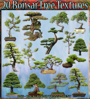 Second Life Marketplace - #20 BONSAI TREE TEXTURES / ORIENTAL TEXTURES ...
