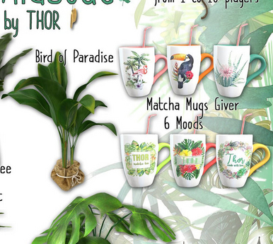 Second Life Marketplace - ..::THOR::.. Matcha Mug - Succulent - giver