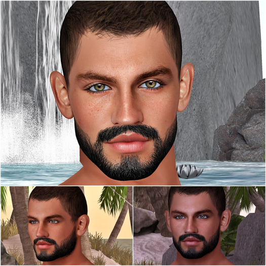 Second Life Marketplace - Felix Shape EvoX/Signature Gianni DEMO
