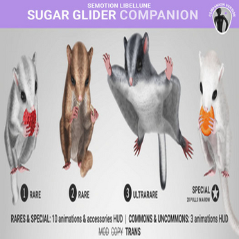 Second Life Marketplace - SEmotion Libellune Sugar Glider Companion RARE 01
