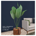 Second Life Marketplace - Abode Boho Ornamental Banana Tree - large ...
