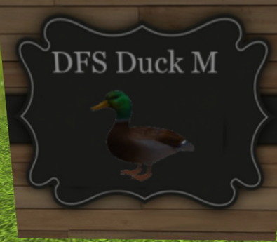 Second Life Marketplace - dfs duck male