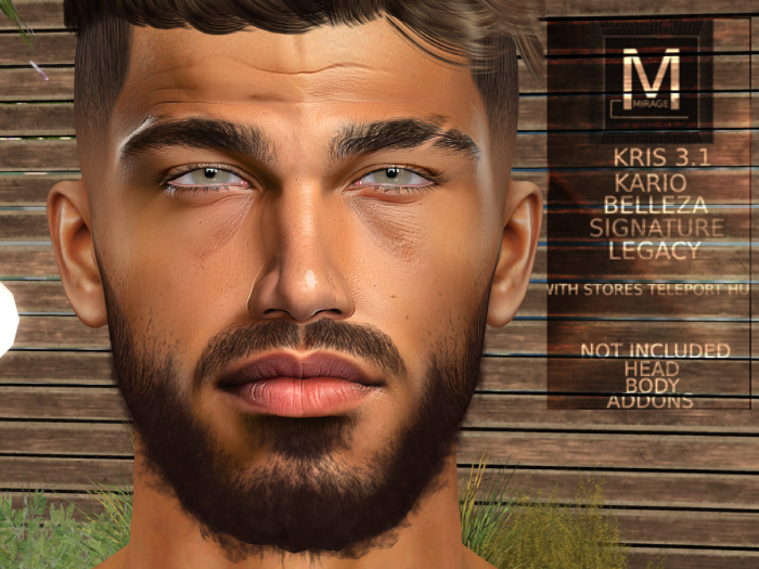 Second Life Marketplace - SHAPE FOR NOA 4 LEGACY ANATOMY BELLEZA KARIO ...