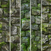 Second Life Marketplace - 5pc Old crypt stone wall with moss seamless ...