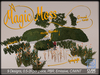 Second Life Marketplace - PBR Magic moss landscaping kit
