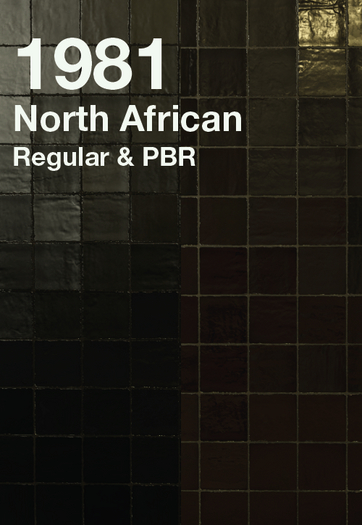 Second Life Marketplace - 1981 North African Black PBR