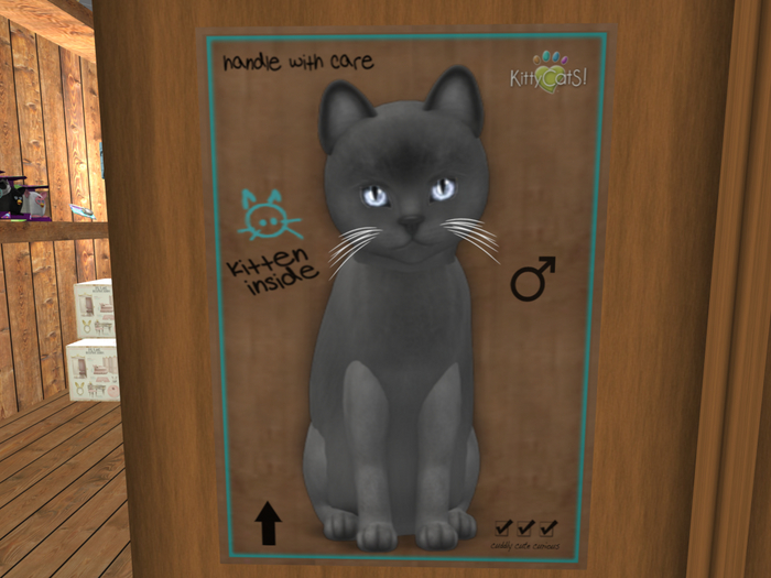 Second Life Marketplace - KittyCatS Box - New Born Kitten
