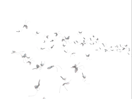 Second Life Marketplace - 10/{anc} picnic. swallow tailed butterfly ...