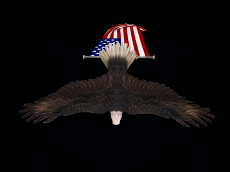 Second Life Marketplace - MC American Flag Bald Eagle Set