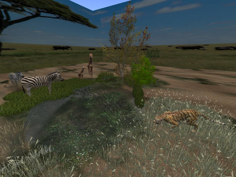 Second Life Marketplace - A Taste of Africa-Box LI=50