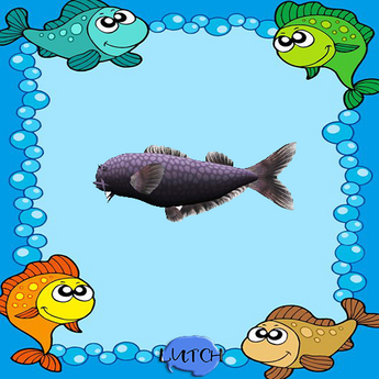 Second Life Marketplace - (7S) Uncommon Fish: Purple Catfish
