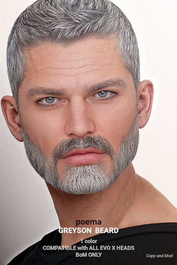 Second Life Marketplace - poema - Grayson Beard (wear to unpack)