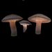 Second Life Marketplace - {S} Full Perm Giant Glowing Woodland Mushrooms