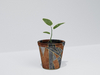 Second Life Marketplace - ZADIG. "Vienna" Plant Potted (add me)