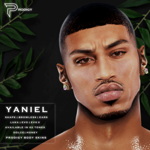Second Life Marketplace - PRODIGY: YANIEL (FATPACK)
