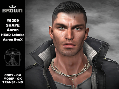 Second Life Marketplace - 5209 SHAPE Aaron HEAD Lelutka Aaron EvoX