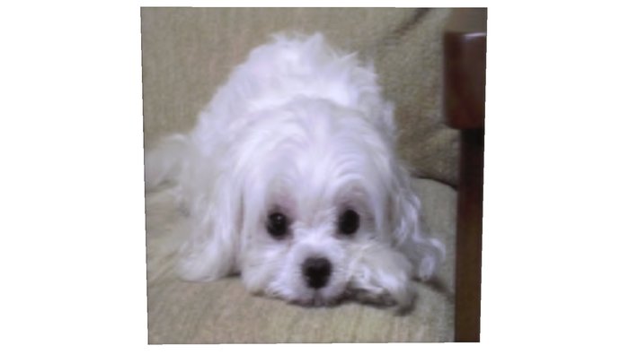 Second Life Marketplace - All Occasion Animated Cute White Puppy/Dog ...