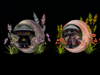 Second Life Marketplace - MC Fantasy Moon Critter & Feathers Set
