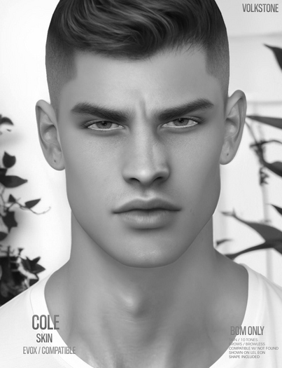 Second Life Marketplace - Volkstone Cole Skin - FATPACK - EVOX DEMO