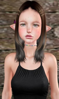 Second Life Marketplace - Legacy perky - Prim head - Style card ...