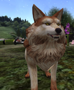 Second Life Marketplace - [Manticore] Wolf Red [TRANS]