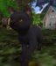 Second Life Marketplace - [Manticore] Kitten [Black] [TRANS]