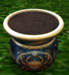 Second Life Marketplace - Potted ~ Midnight Zodiac Philodendron Pot ...