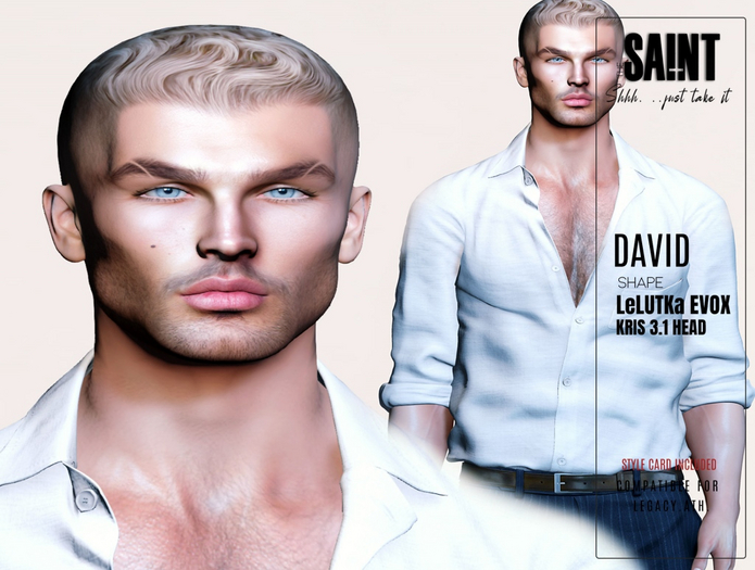 Second Life Marketplace - -THE SAINT- David Shape For Lelutka KRIS Head ...