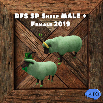 Second Life Marketplace - DFS SP Sheep MALE + Female 2019