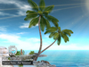 Second Life Marketplace - :FNY: Designs - Tropical Palm Pair - Entwined ...