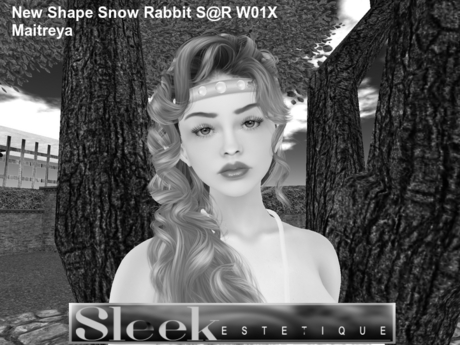 Second Life Marketplace - DEMO Shape S@R W01X Snow Rabbit