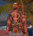 Second Life Marketplace - Agharti - Color Summer Shirt AGV (Signature)