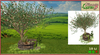 Second Life Marketplace - !MG! - Tree Decoration with Pond