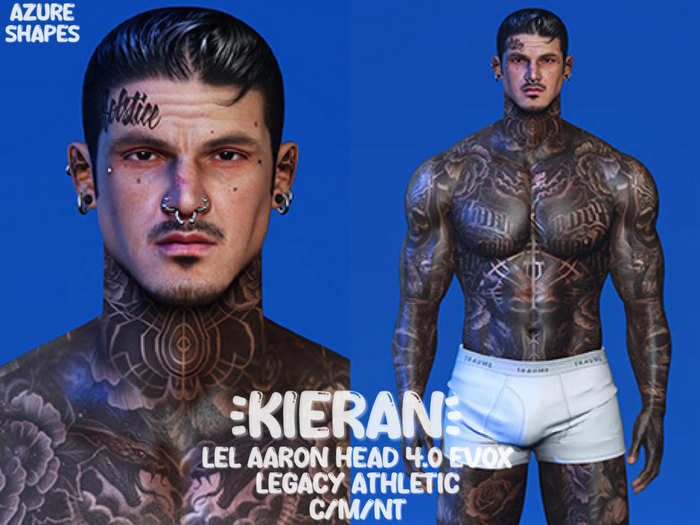 Second Life Marketplace - Azure - Kieran Shape for LeLUTKA AARON 4.0 EvoX