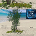 Second Life Marketplace - ****Animated wind blown flowers & tree patch ...