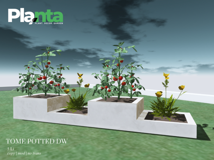 Second Life Marketplace - Planta - Tome Potted DW